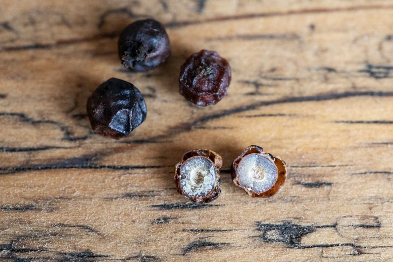 Roter Kampot Pfeffer | Roter Kambodscha Pfeffer